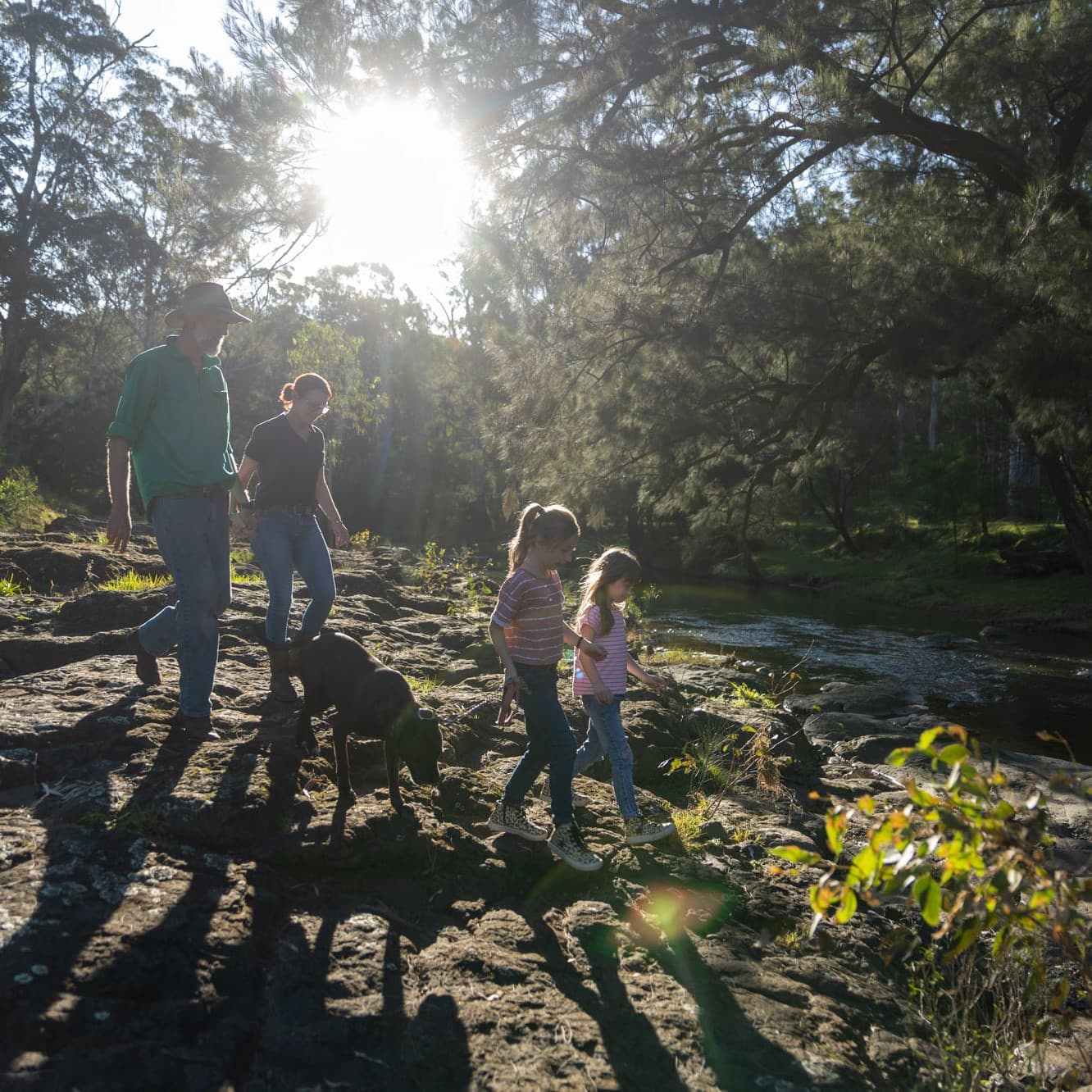 Bush Camping Queensland - Pet Friendly - Gordon Country